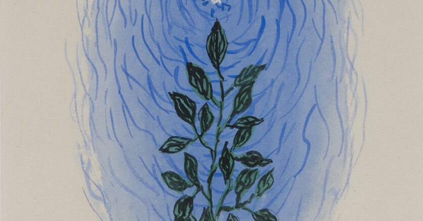 René Magritte (1898-1967) | Plant with Flowers and Leaves, c.1946 ...